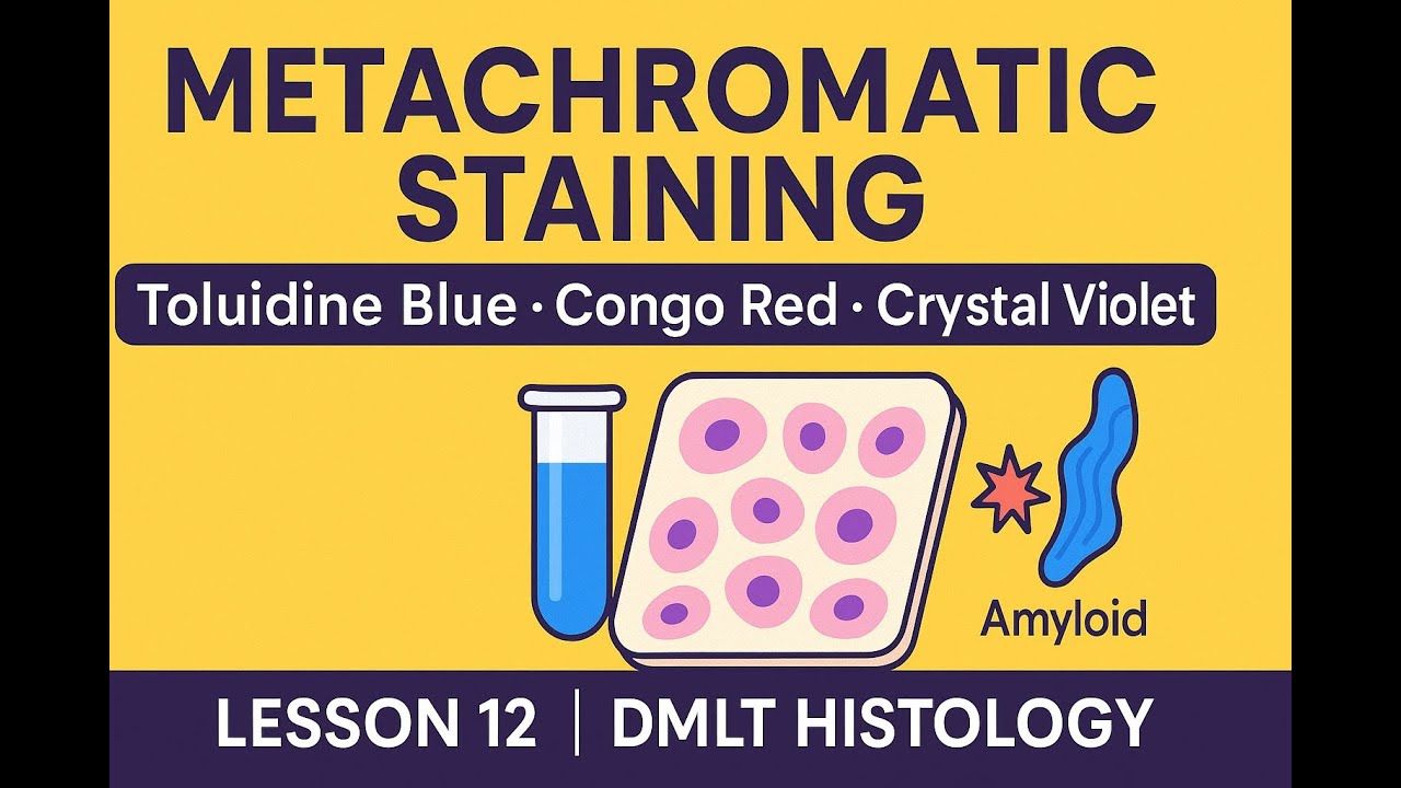 Metachromatic Staining | Lesson 12 Histology | DMLT Hinglish | Toluidine Blue & Congo Red ...