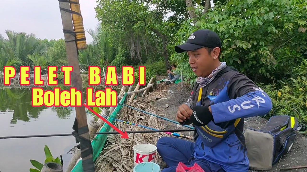 Mancing Bandeng Pakai Pelet Babi di Marunda Bikin TOBAT - YouTube