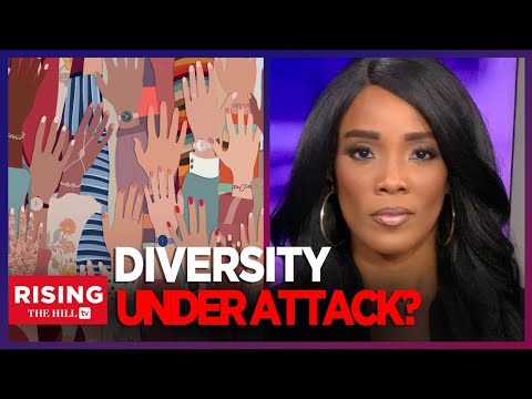Civil Rights Orgs FIGHT BACK Against DEI ATTACKS, Sunny Hostin STANDS ...
