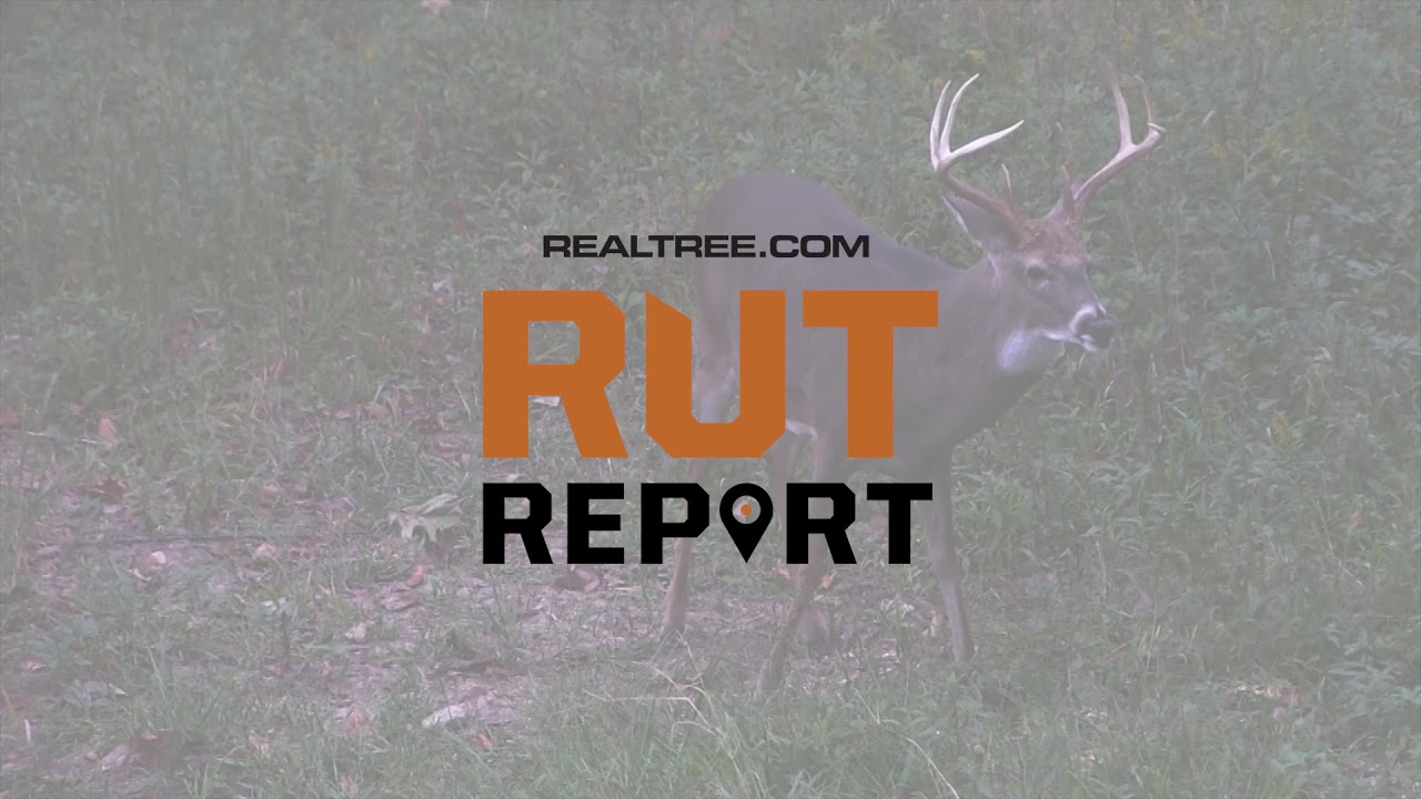 Deer Hunting: Introducing Realtree.com's New Rut Report - YouTube
