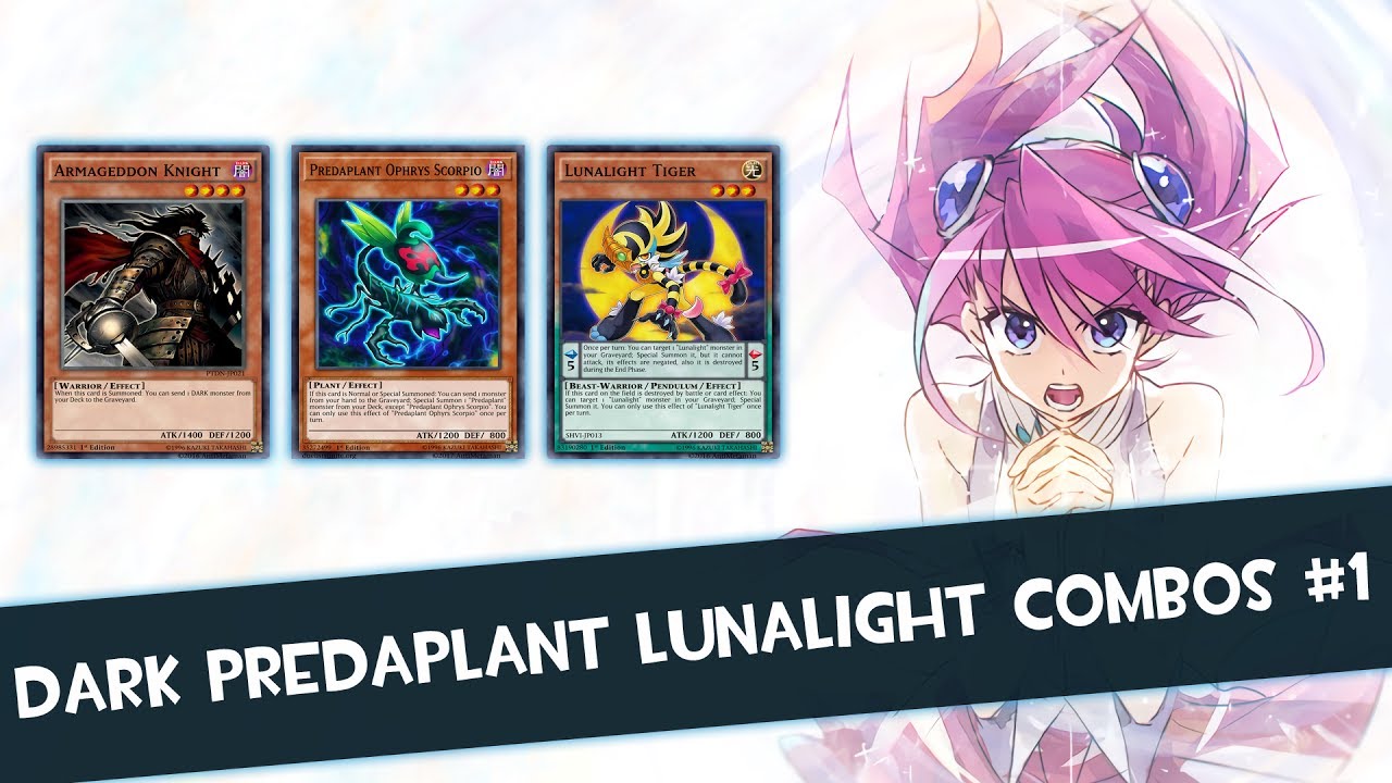 Yu-Gi-Oh! - Dark Predaplant Lunalight Combo Tutorial #1 - A.Knight ...