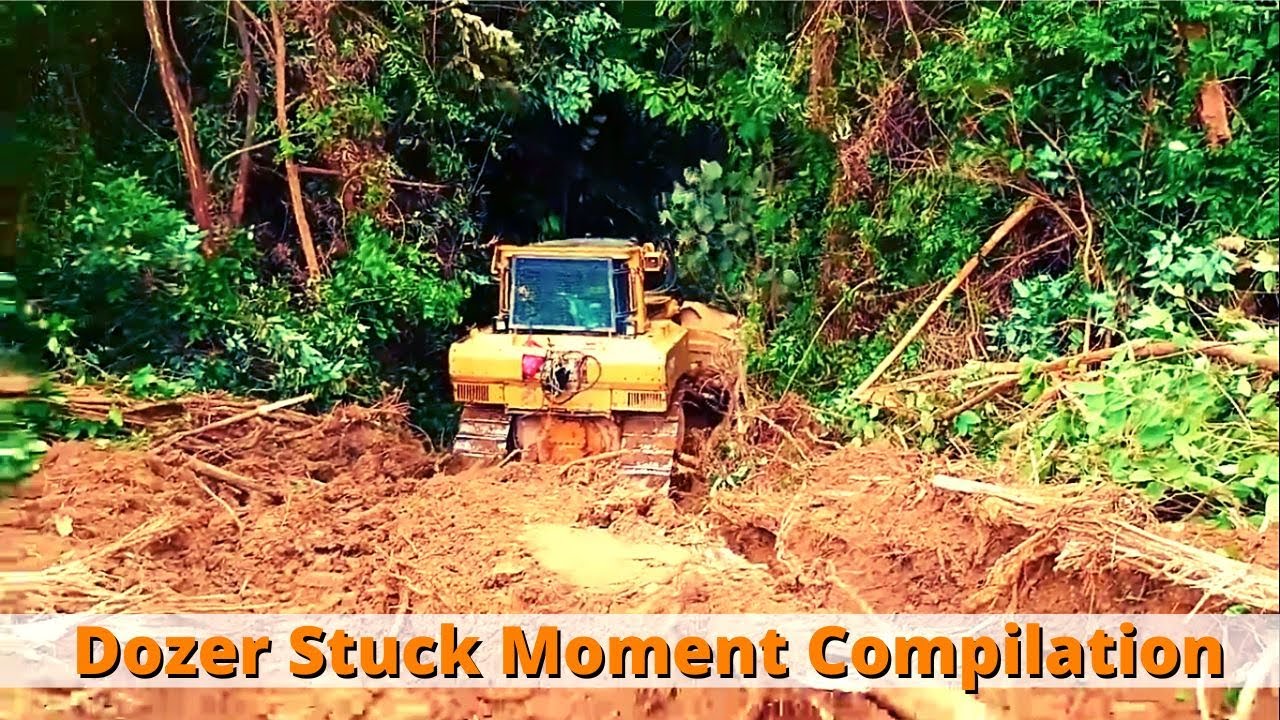 The Ridiculous Incident in The Jungle When The Dozer Works - Bulldozer ...