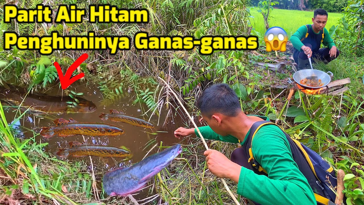 Pasang 7 Pancing Tajur, Di Sarang Predator Langsung Masak 😱🤤 - YouTube