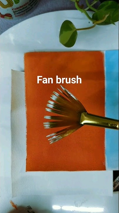 How to use Fan brush | Fan brush for beginners | acrylic Colours with fan brush #shorts # ...