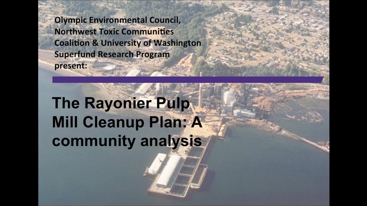 The Rayonier Pulp Mill Cleanup Plan: A Community Analysis - YouTube