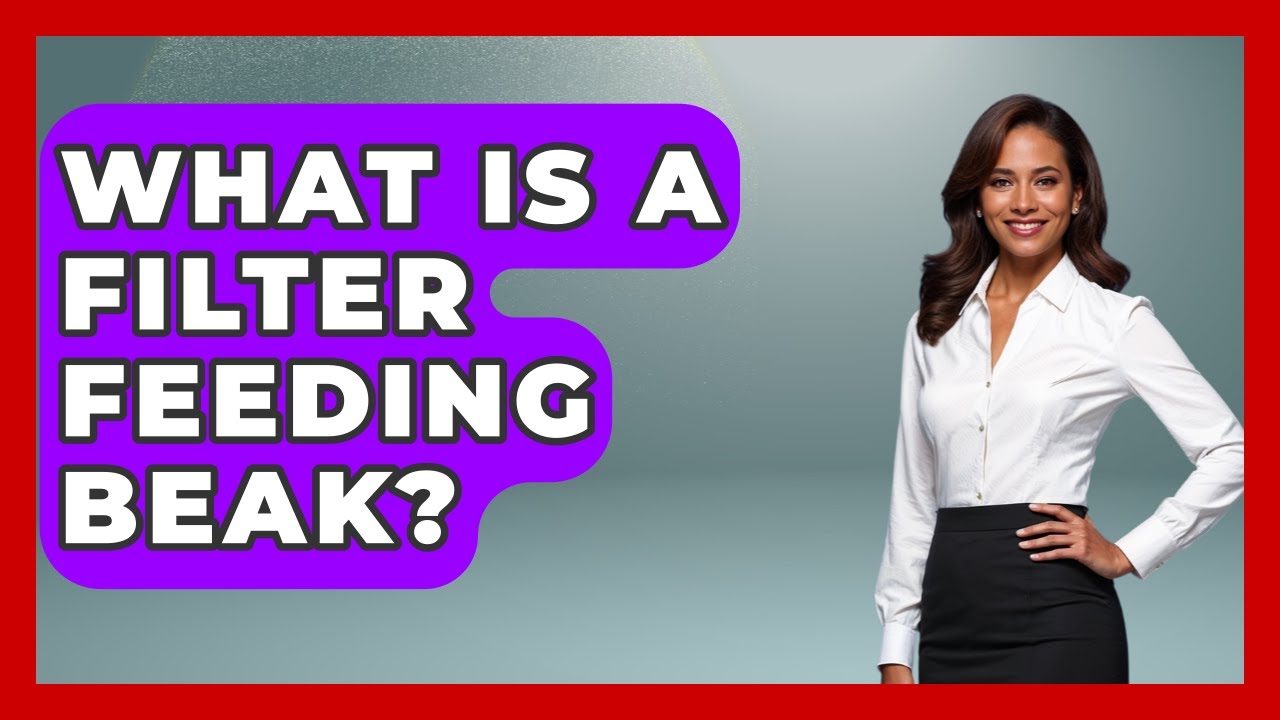 What Is A Filter Feeding Beak? - Bird Watching Diaries - YouTube