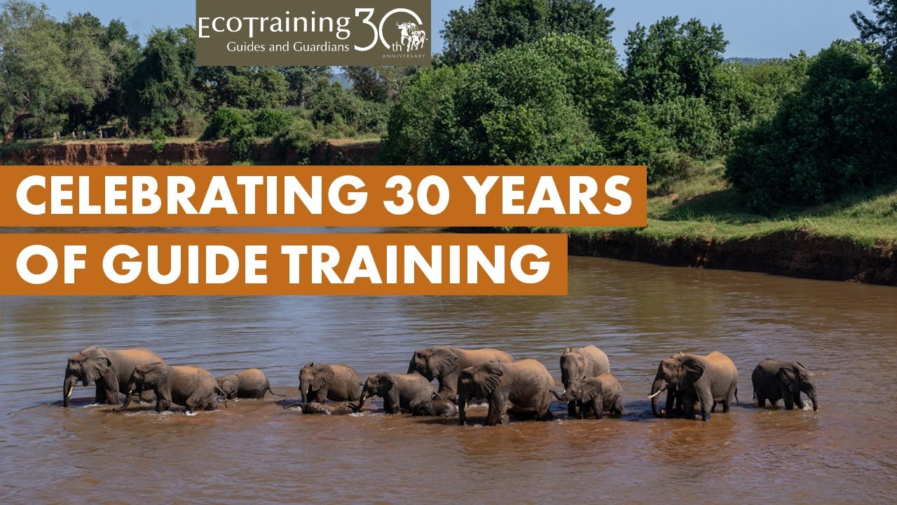 Celebrating thirty years of Guide Training | EcoTraining - YouTube