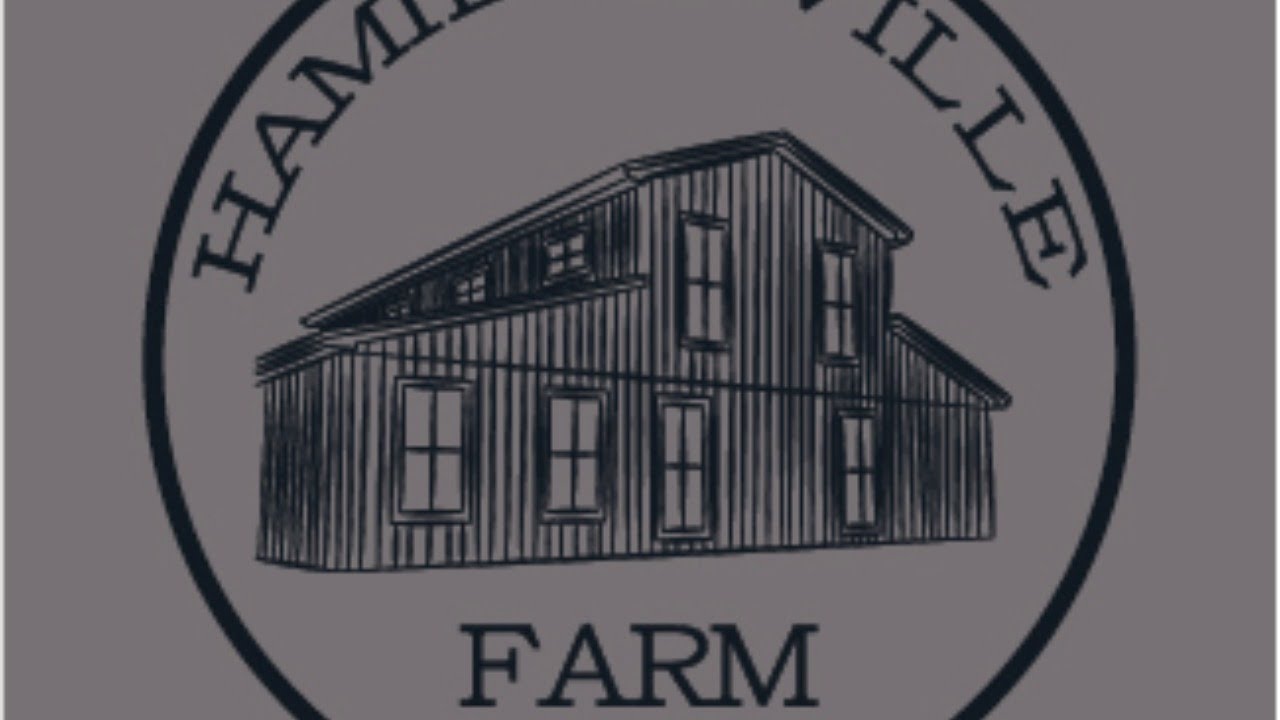 Hamiltonville Farm LIVE 20 Nov 2019 - YouTube