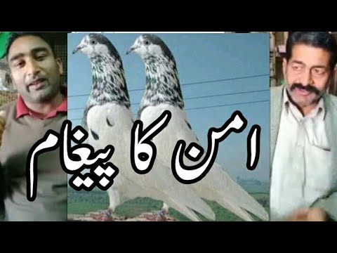 kala butt or kamran jutt ka interview - YouTube