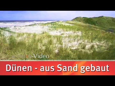 Dünen - aus Sand gebaut // scinexx.de