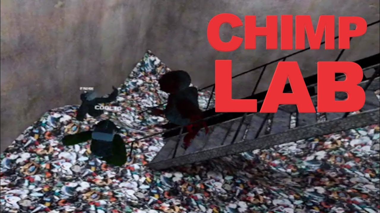 Chimp Lab is the new Scary Baboon - YouTube
