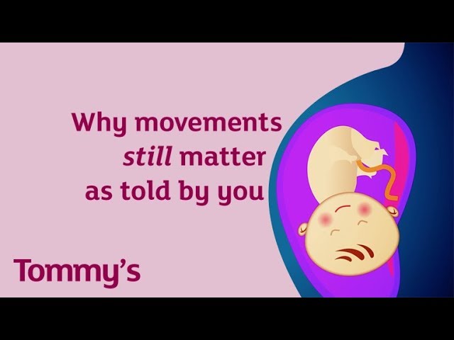 Pregnancy Baby Movement Quotes 250+ Pregnancy Quotes For Expecting