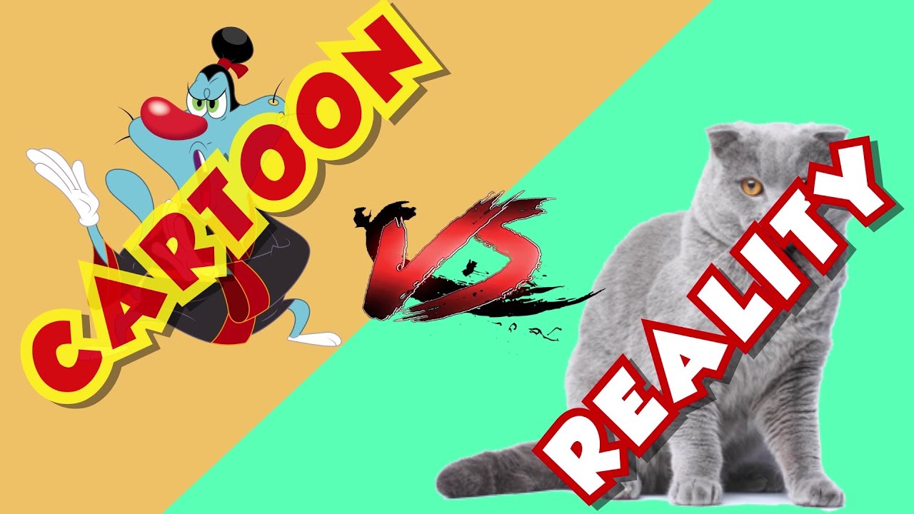 Oggy and the Cockroaches🔥CARTOON 🆚 REALITY 🔥 in HD - YouTube