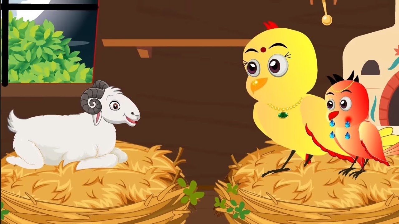 guria or goat ki friendship,goat in jungle,Hindi cartoon video - YouTube