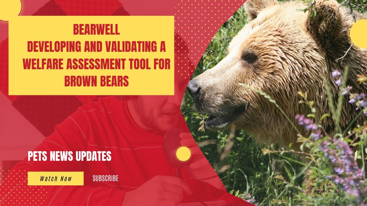 BEARWELL Developing and validating a welfare assessment tool for brown ...