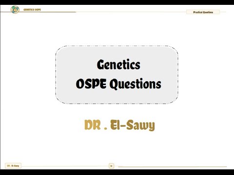 Genetics OSPE Questions - Dr. Elsawy - YouTube