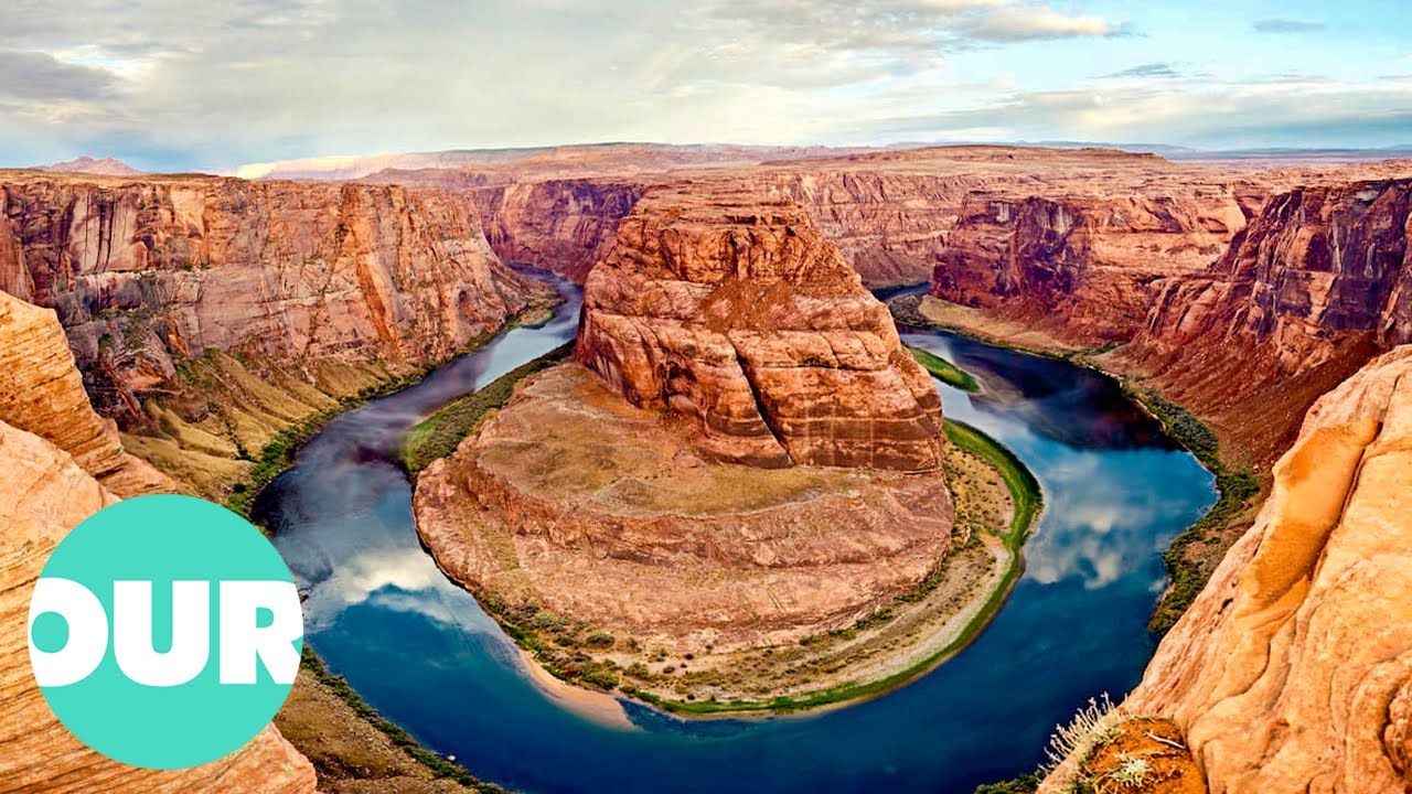 Colorado Plateau Animals Cougar, Puma Or Mountain Lion (Puma