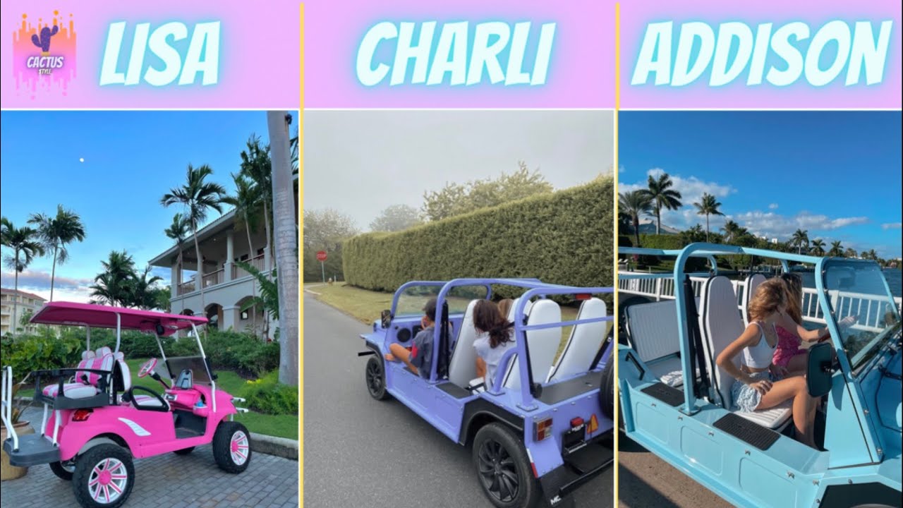 LISA CHARLI OR ADDISON🎭 LISA OR LENA#14 - YouTube