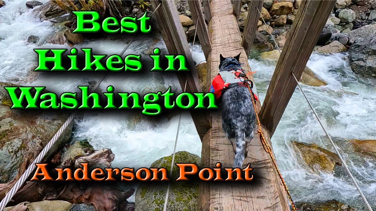 BEST HIKES IN WASHINGTON STATE | ANDERSON POINT | PNT - YouTube
