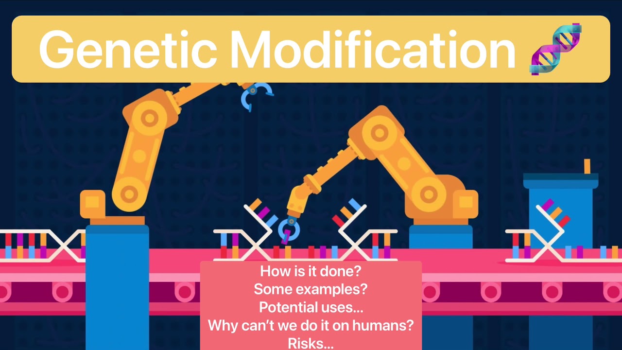 Genetic Modification | Simple - YouTube