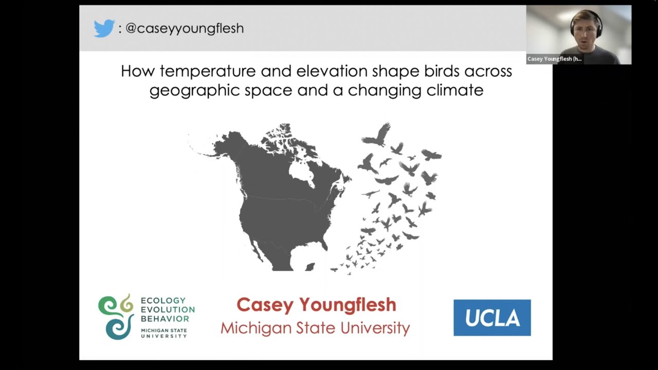 How temperature and elevation shape birds across geographic space and a ...