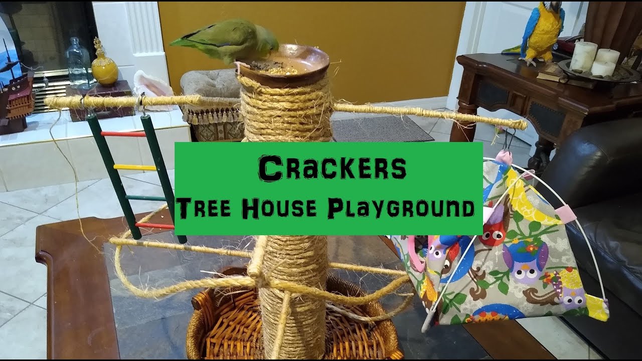 Parrotlet Crackers Tree House Playground - YouTube