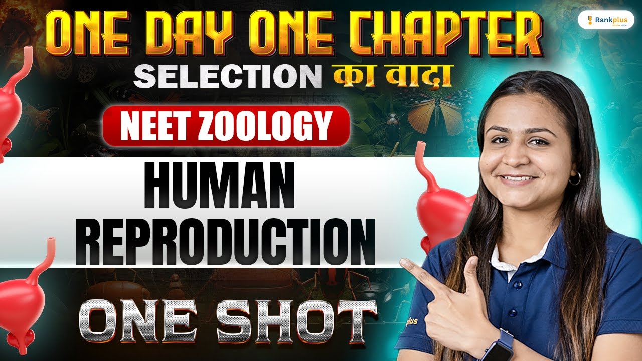 Human Reproduction | One Shot | One Day One Chapter | Zoology | NEET ...