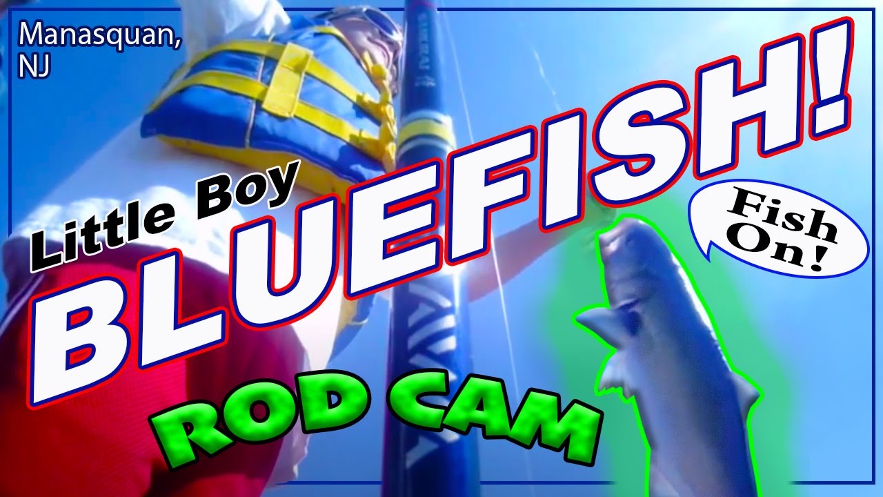 My little boy gets his first Bluefish, fishing for snappers! BLUE FISH ...