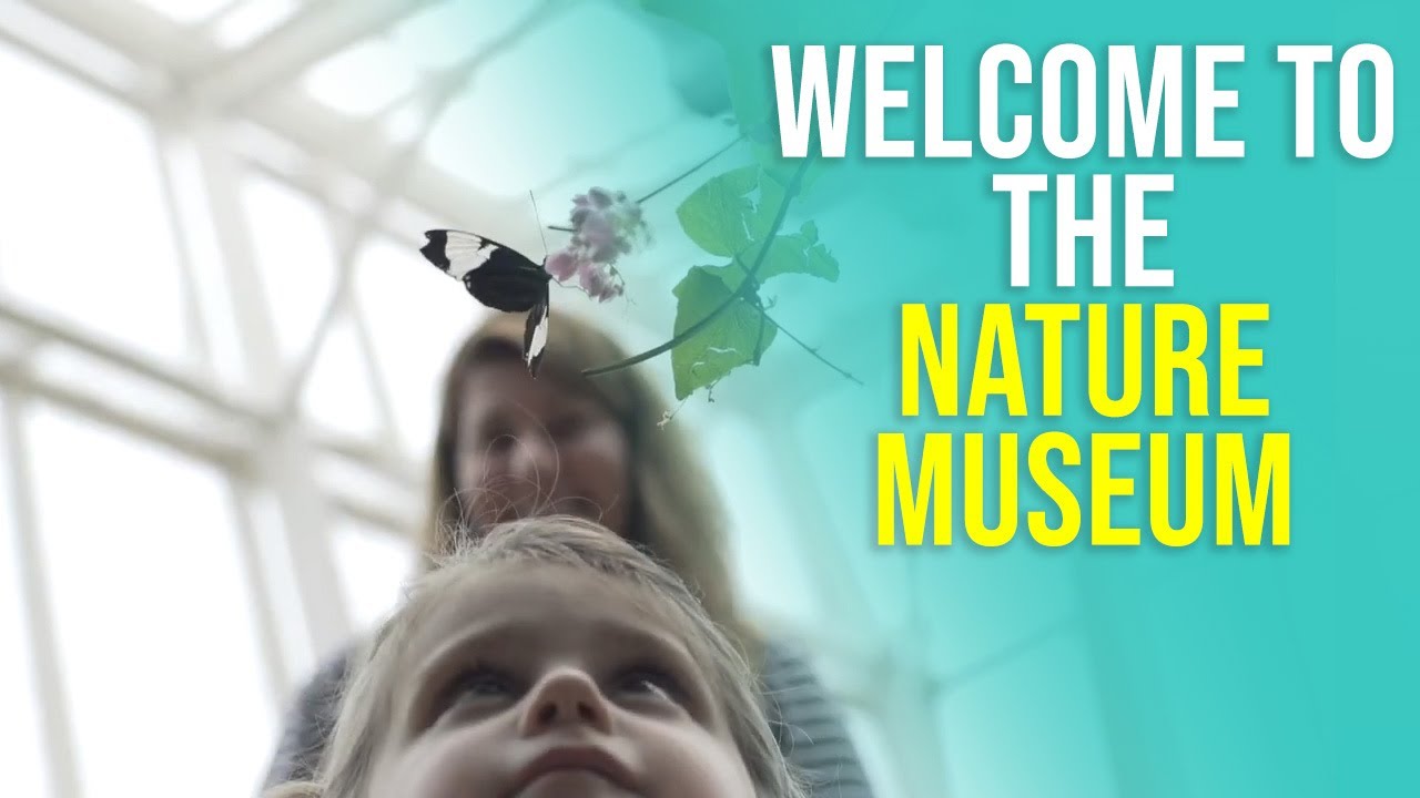 Welcome to the Peggy Notebaert Nature Museum - YouTube
