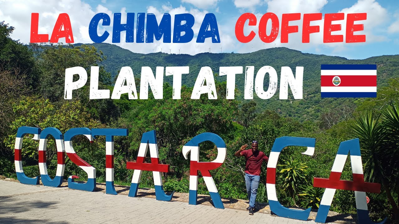 Grazing Through The Vast Jungles Of La Chimba San Jose, Costa Rica ...