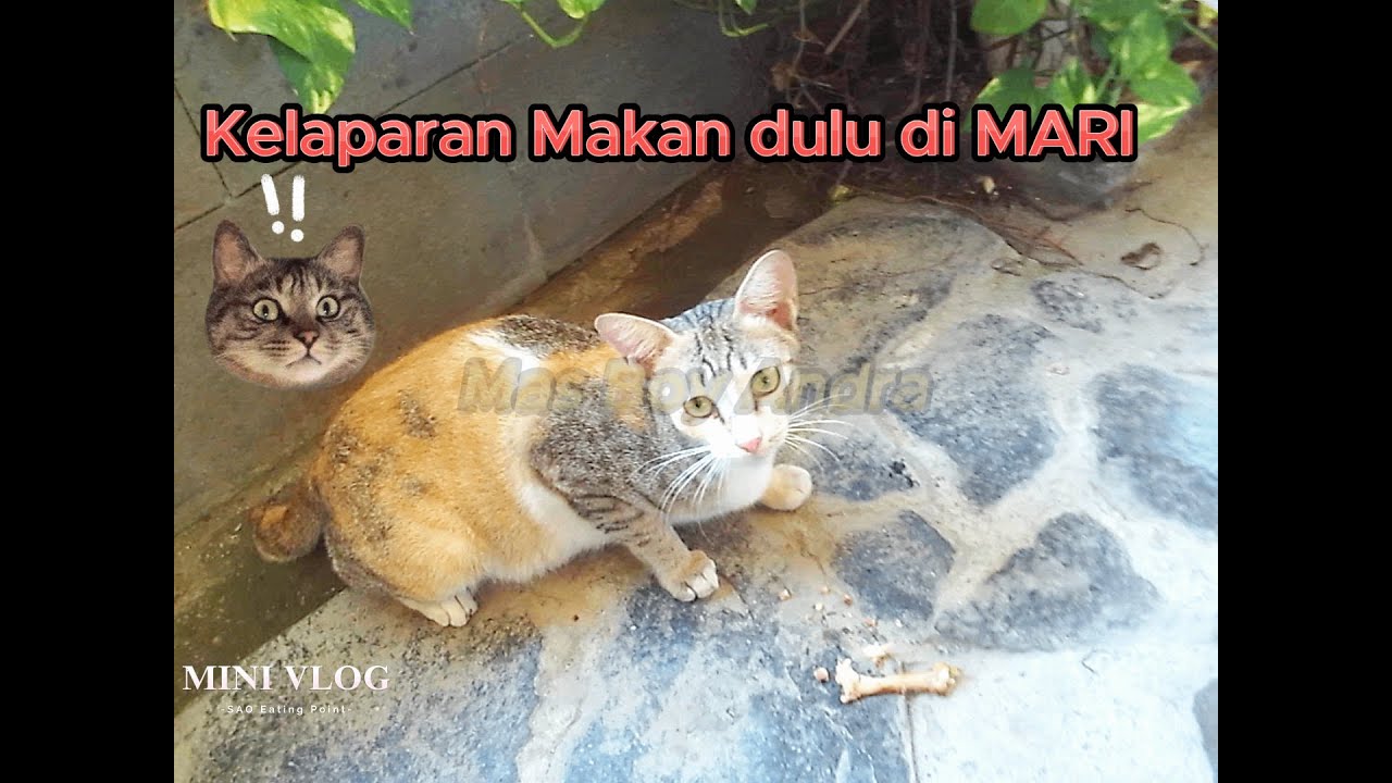 Eps. 5 Makassar, Makan di SAO Eating Point, Mall Ratu Indah atau ...
