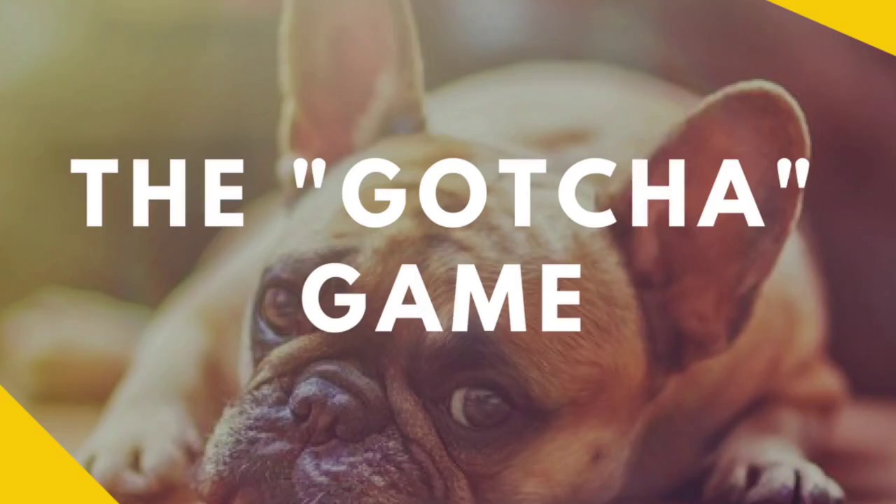 The Gotcha Game - Teaching Your Dog To Love Being Caught - YouTube