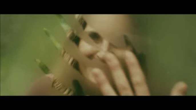 Paula Wrobel's Instagram, Twitter & Facebook on IDCrawl