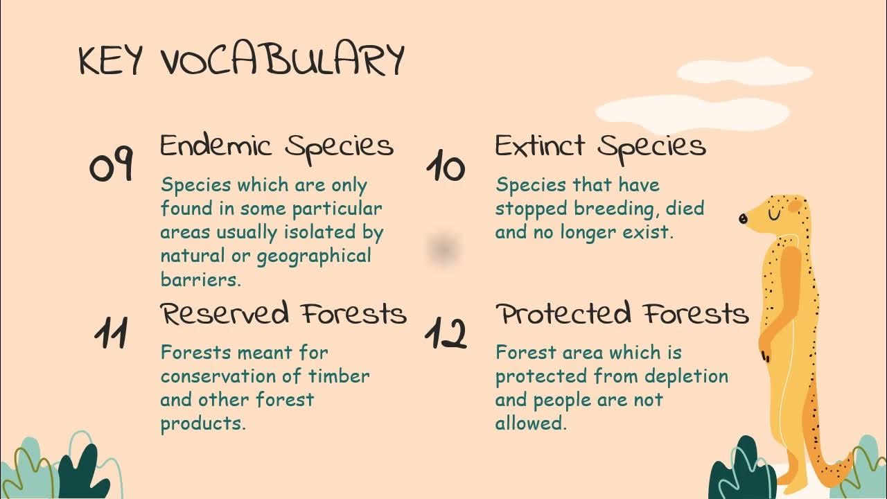 Lesson Plan Forest and Wildlife Resources Grade X - YouTube