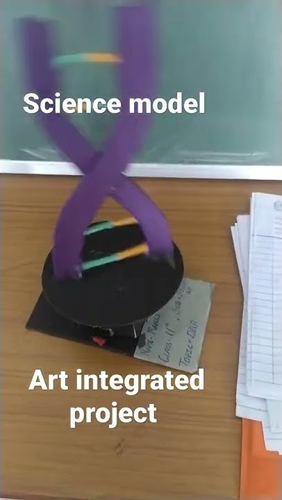 Biology Working Model Science Project Dna Model Biology Project Youtube