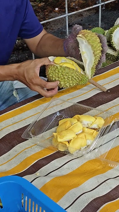 Durian Musang King 👑 unboxing // Fresh durian #durian #durianmusangking - YouTube