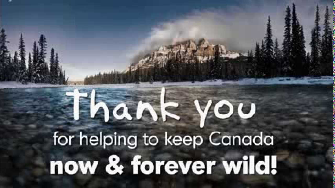 Celebrating 50 years of wilderness protection! - YouTube