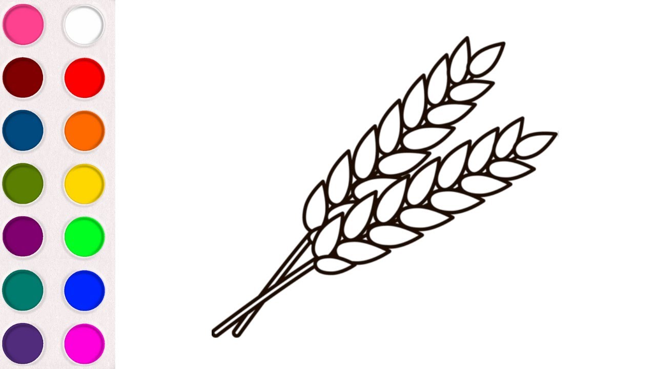 How to Draw a Wheat | Drawing, Coloring for Kids | ART MAGIC PALETTE ...