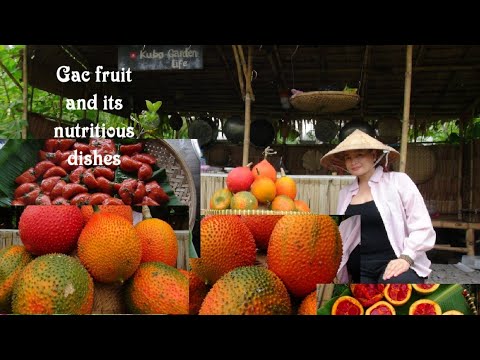 Gac Fruit and How To Make To Prepare Nutritious dishes From Gac. # ...
