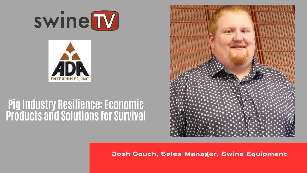 Pig Industry Resilience: Economic Products and Solutions for Survival ...