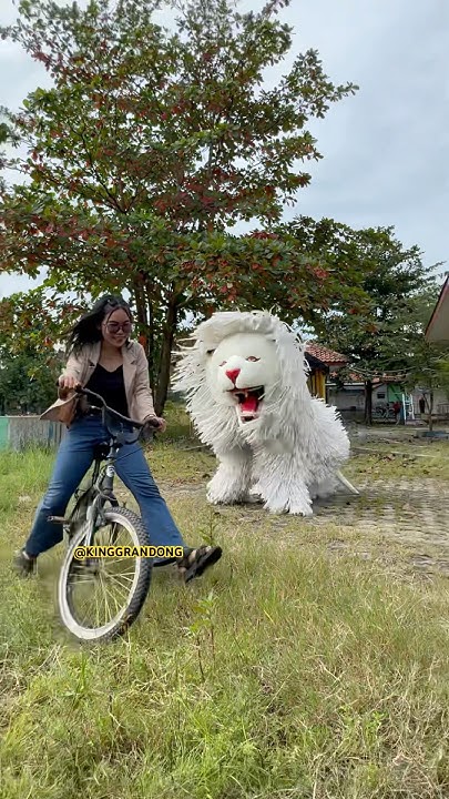 Lagi bersepeda cewek cantik dihadang can macanan langsung dimakan - YouTube