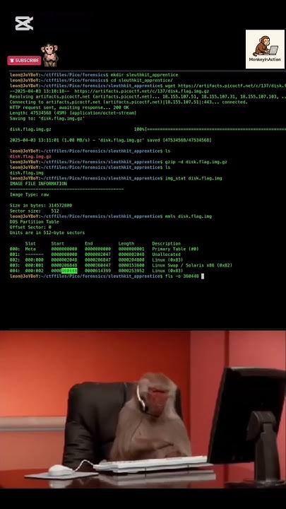 Sleuthkit Apprentice Picoctf Ctf Picoctf Cybersecurity Linux