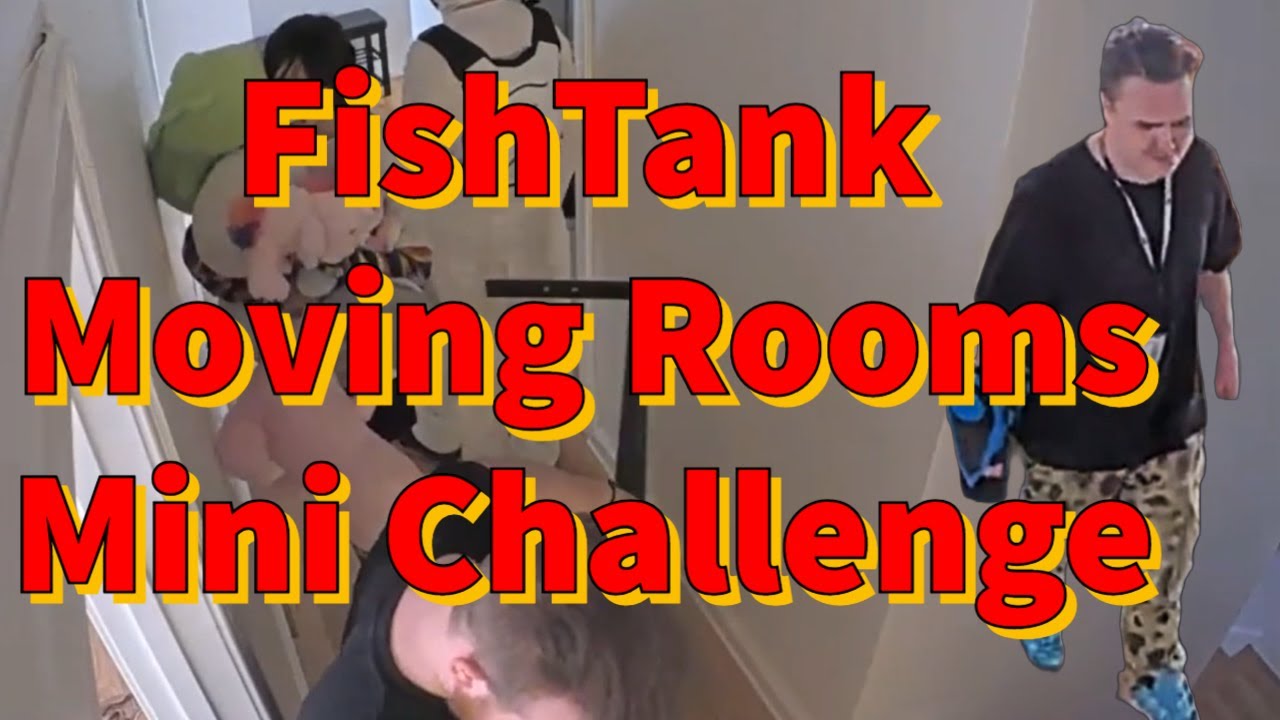 FishTank Moving Rooms Mini Challenge - YouTube
