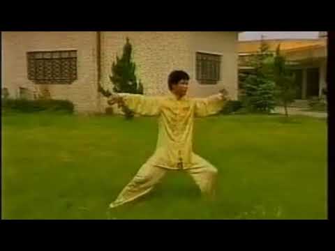 Wang Zhan Jun - Tai Chi style Chen Laojia Yilu 1990's [陈氏太极拳老架 Taijiquan style Chen] - YouTube