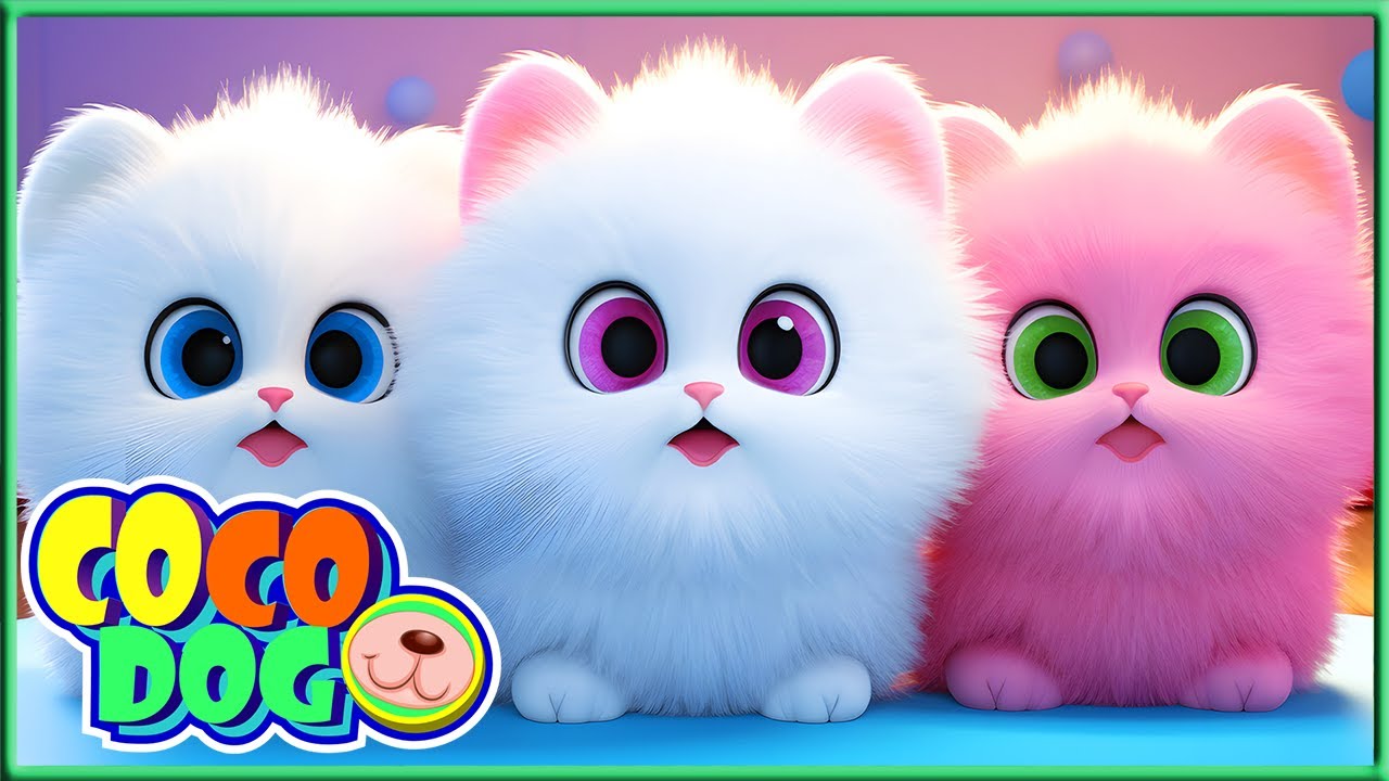 kitty cat dance | Nursery Rhymes & Kids Songs- Coco Dog #babysongs # ...