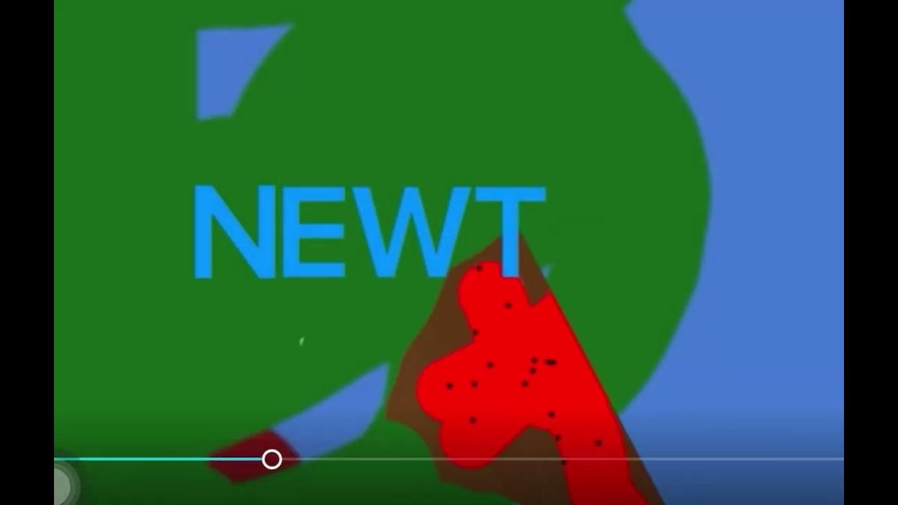 Learn the ABCs N is for Newt - YouTube