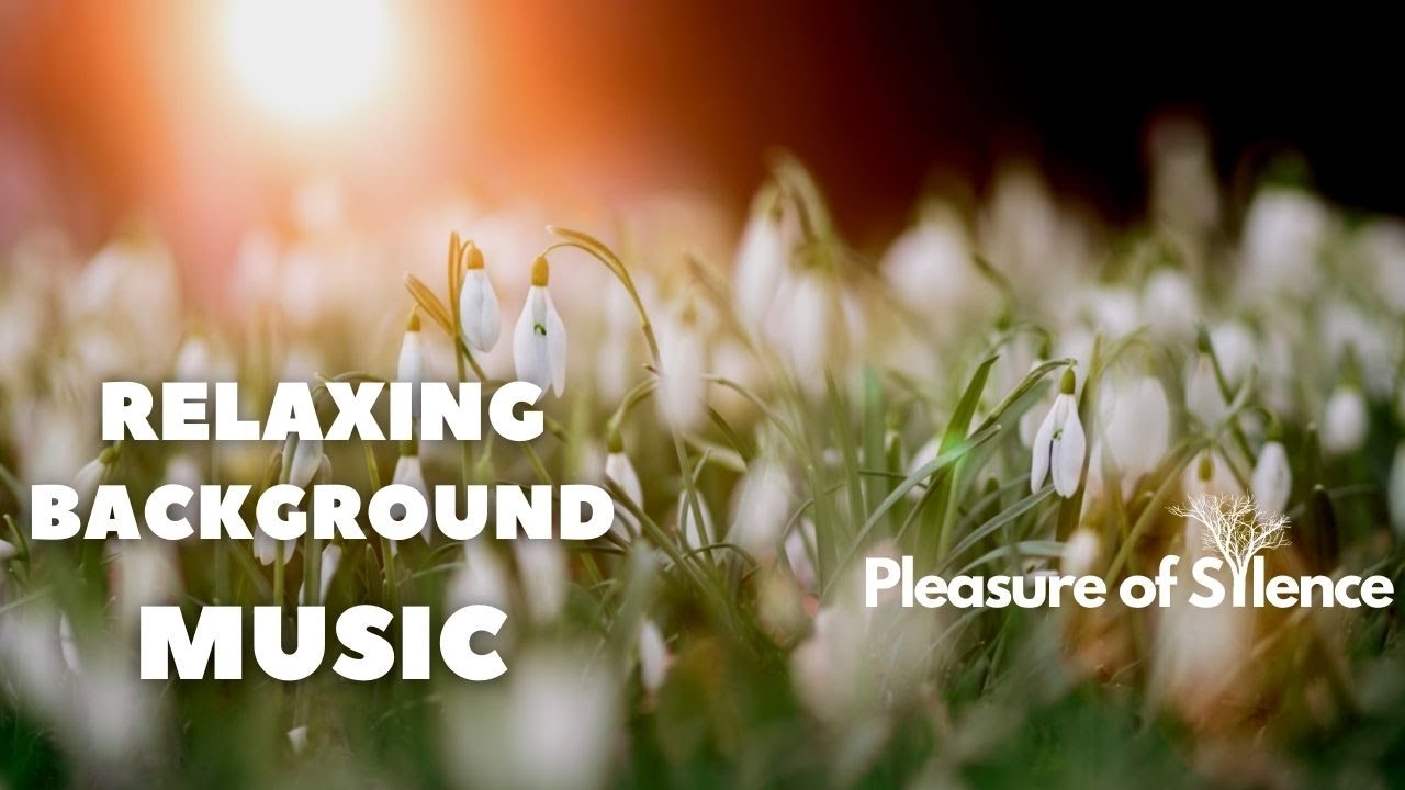 Neutral State Meditation | Relaxing Background Music | Relaxation - YouTube