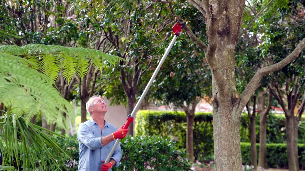 The Garden Gurus - Pruning hard-to-reach branches - YouTube