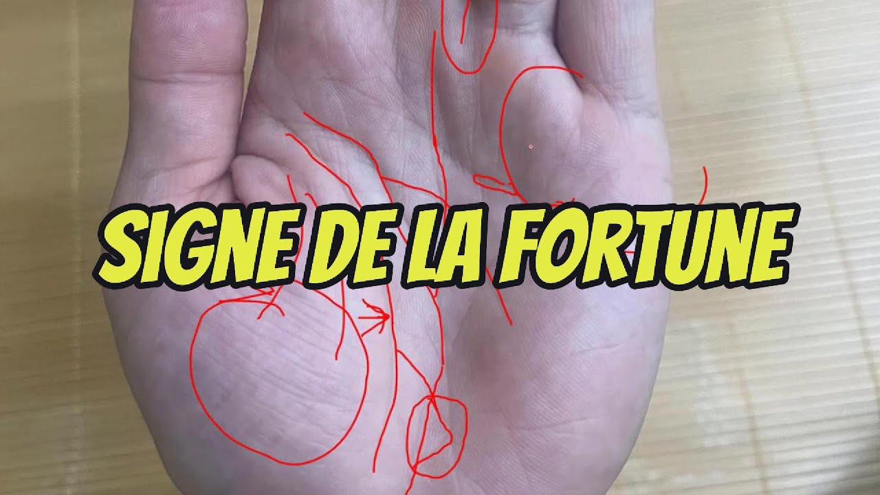 Signe de la main d’une personne qui maîtrise et accumule des biens ...