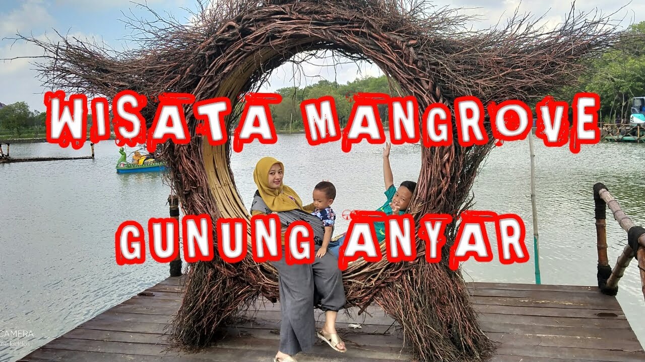 Wisata Alam mangrove gunung anyar surabaya 2020 - YouTube